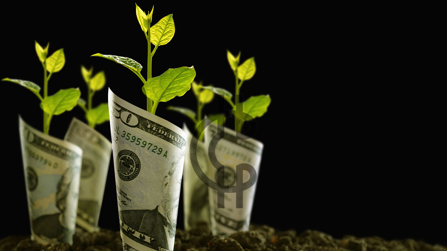 Panduan Memahami Bunga Utang untuk Keuangan Yang Sehat ...